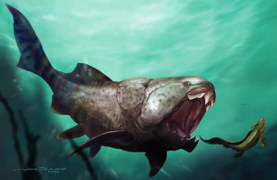 Dunkleosteus Museo Ciencias Naturales