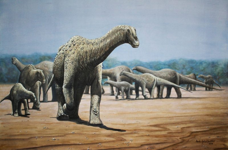 Nuevo dinosaurio del Cretácico Superior del sudoeste de Brasil: unos de ...