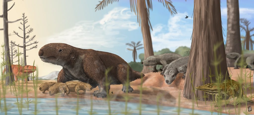 El registro mas antiguo de dentición hipsodonte, en un cinodonte del ...